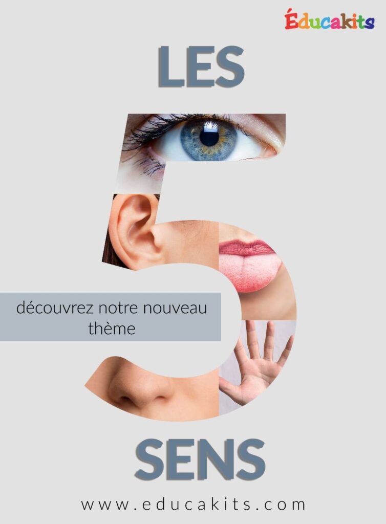 LES 5 SENS - Centre de Formation Éducation en Petite Enfance.
